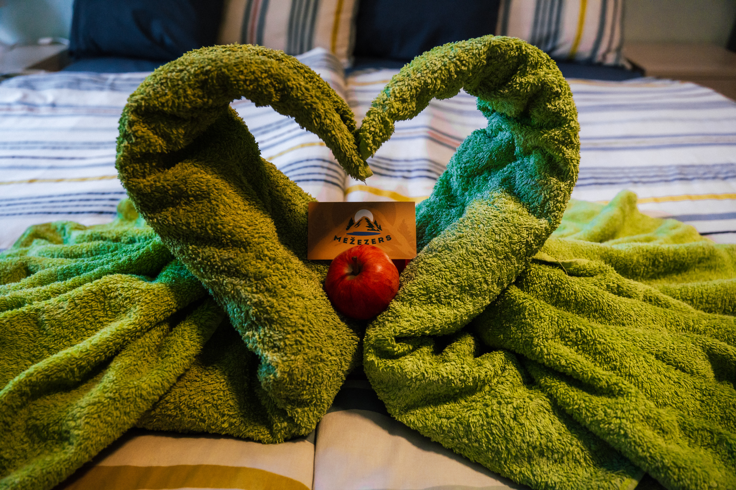 Viesu nams - Mežezers